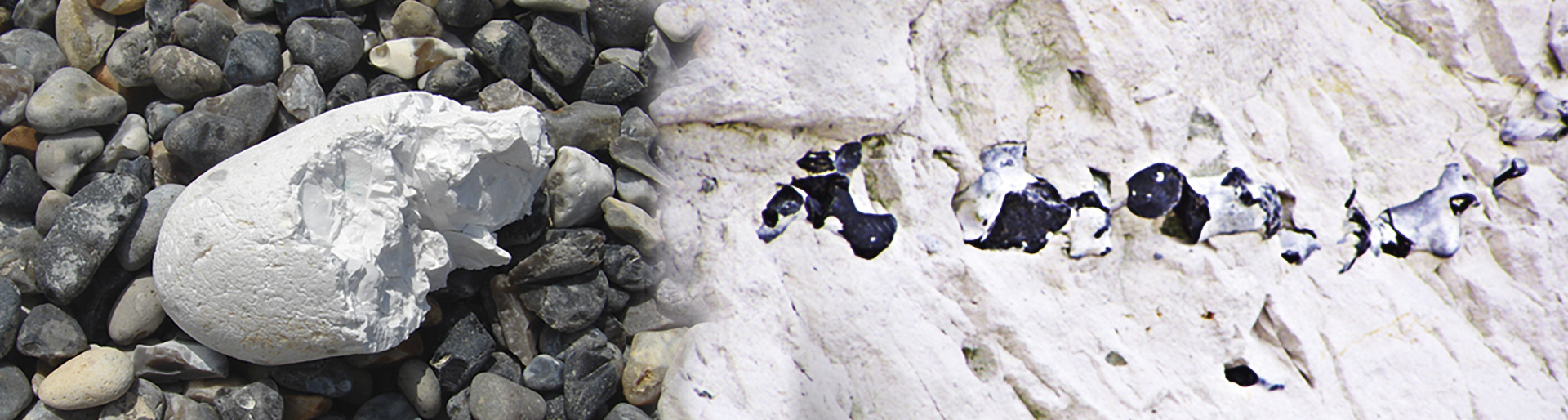 silmer | Ziegler Minerals