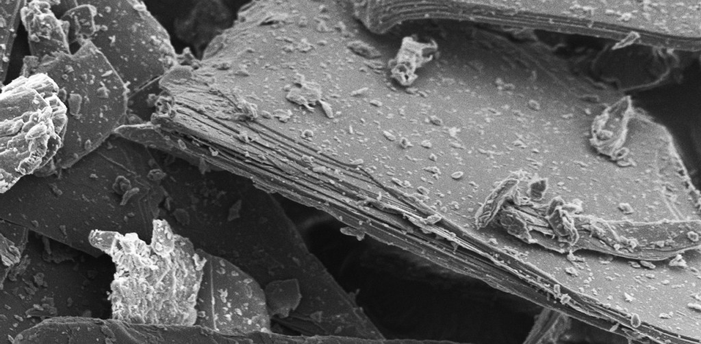 micacelia_neu_12-3 | Ziegler Mineralstoffe