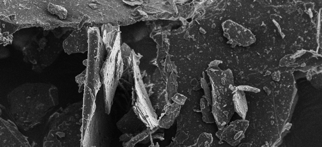 micacelia_neu_4-4 | Ziegler Mineralstoffe